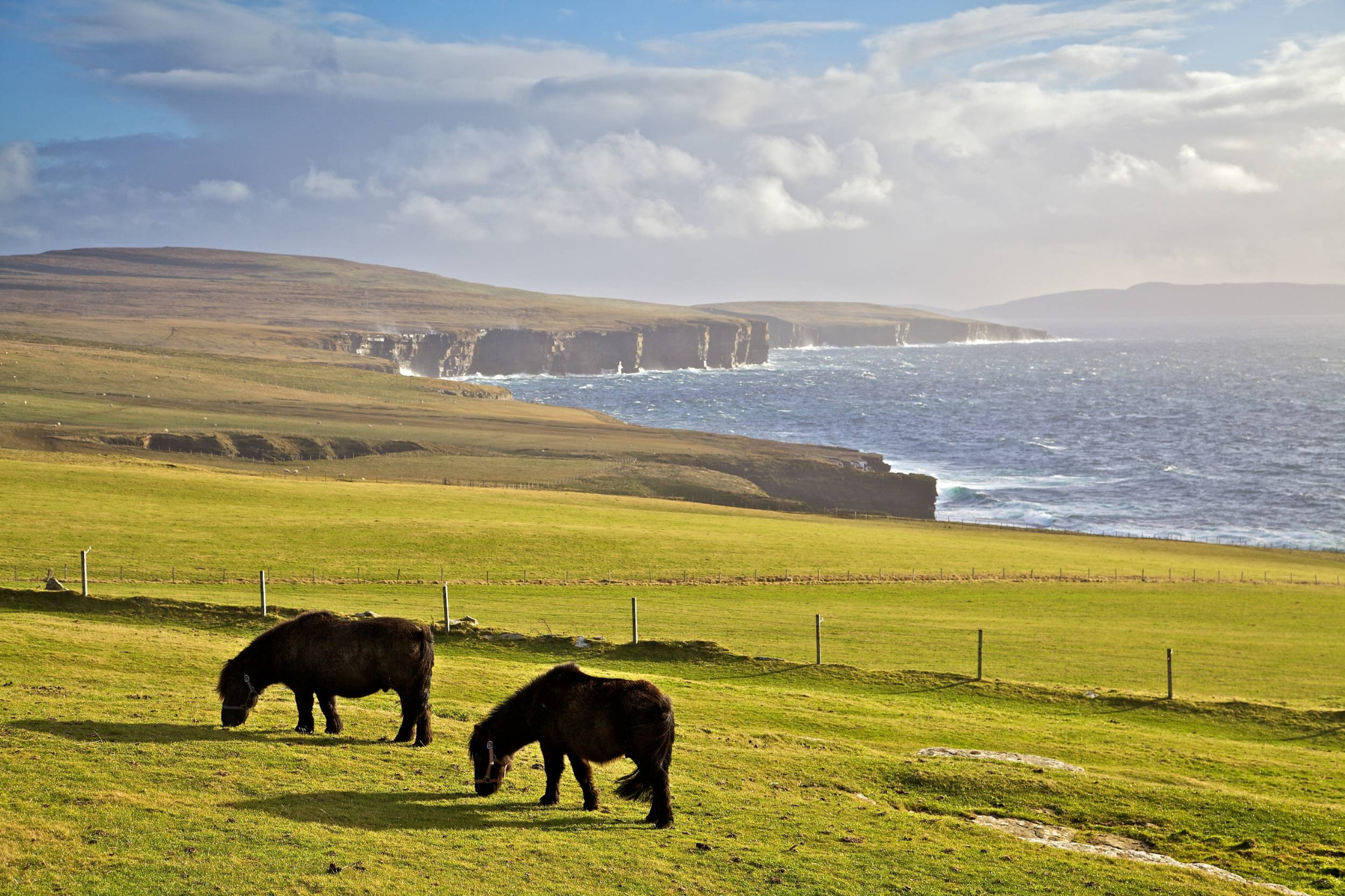 About - Funds and Partners | Islands Centre for Net Zero